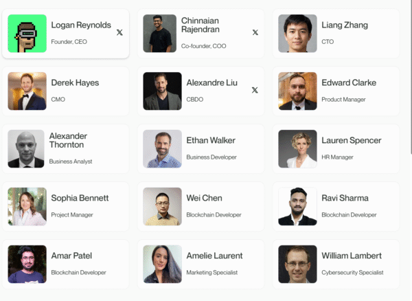 Nexchain $NEX Project Details and Rating